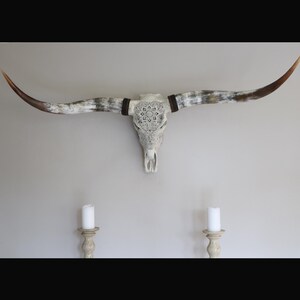 Longhornskull With Carved Design, Mancave Decoration, Interior ...