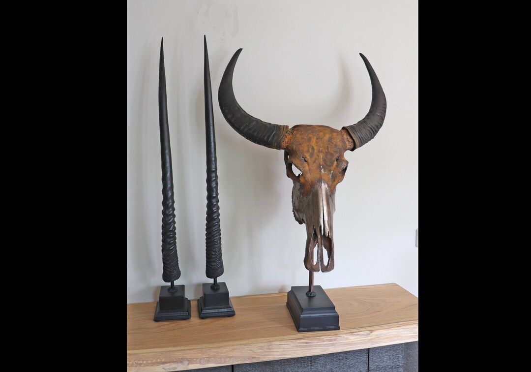 Buffaloskull Real Bull Skull Cow Skull Mounted on a - Etsy