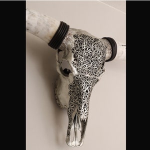 Longhornskull Hand Carved Art Object, Steerskull With Polished ...