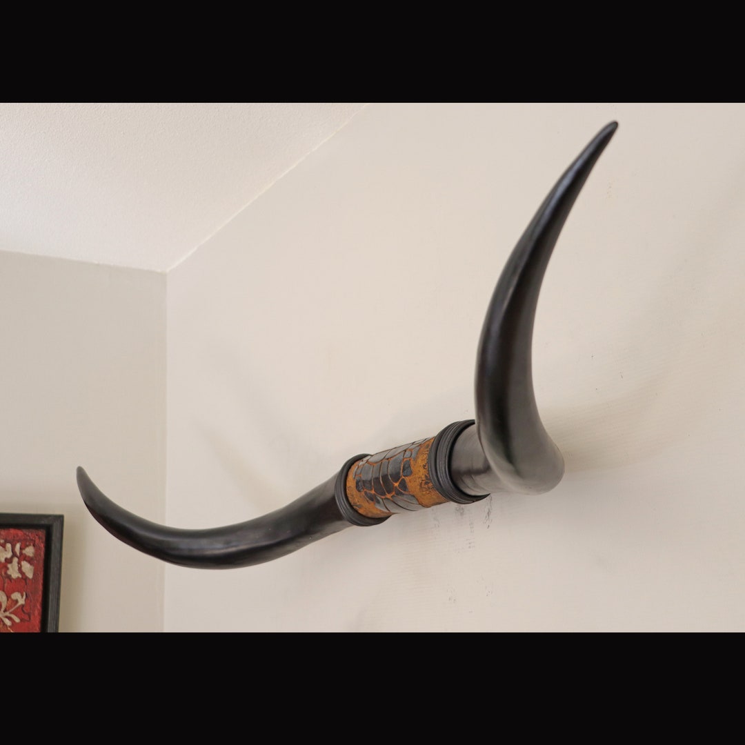 Steer Horns Wall Mount, Bull Bar in Black, Longhorn Wall Decor ...