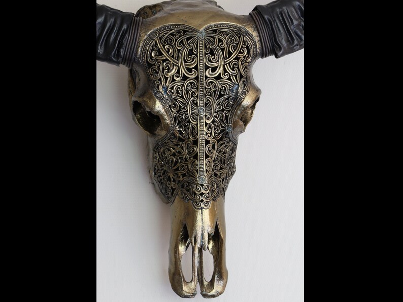 Real Buffalo Skull Celtic Design Carved Buffaloskull - Etsy