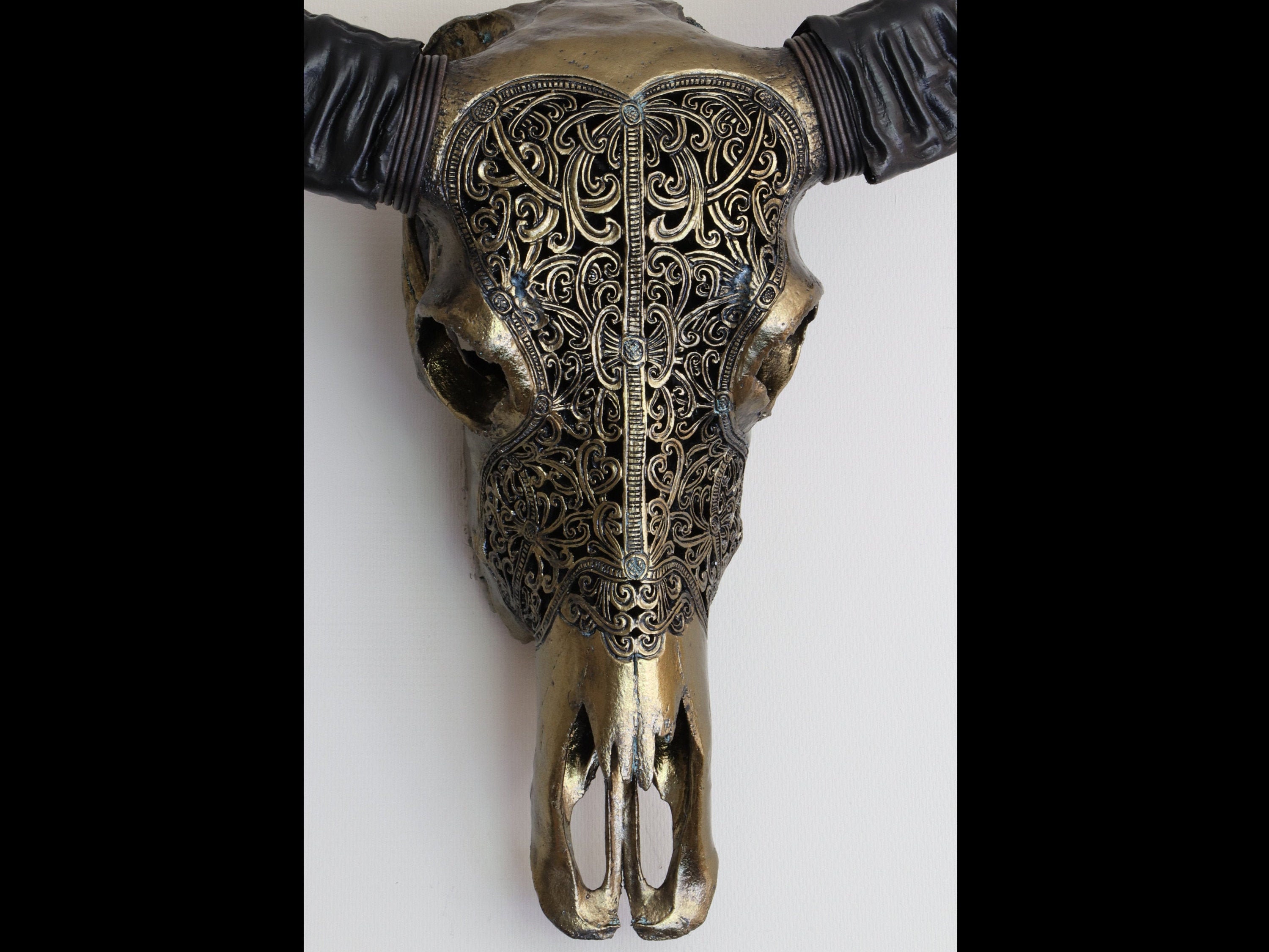 Real Buffalo skull Celtic design carved Buffaloskull | Etsy