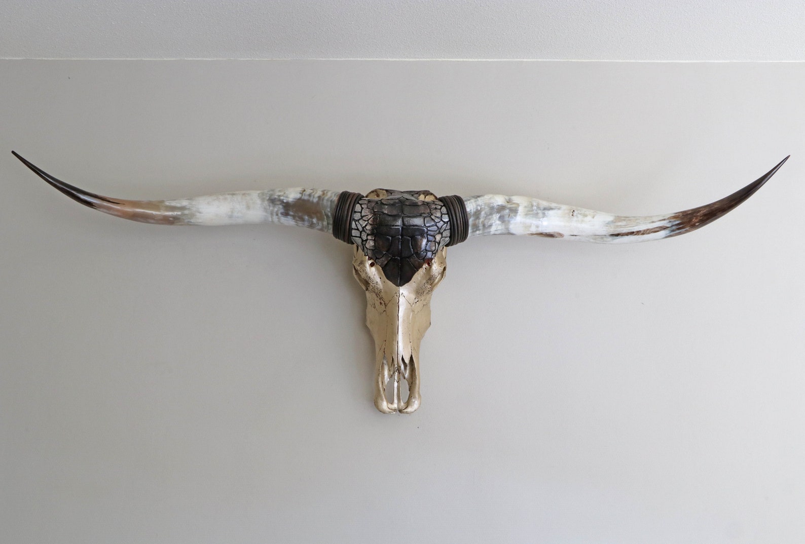 XL Longhorn Original Longhornskull Longhorn Skull Real - Etsy