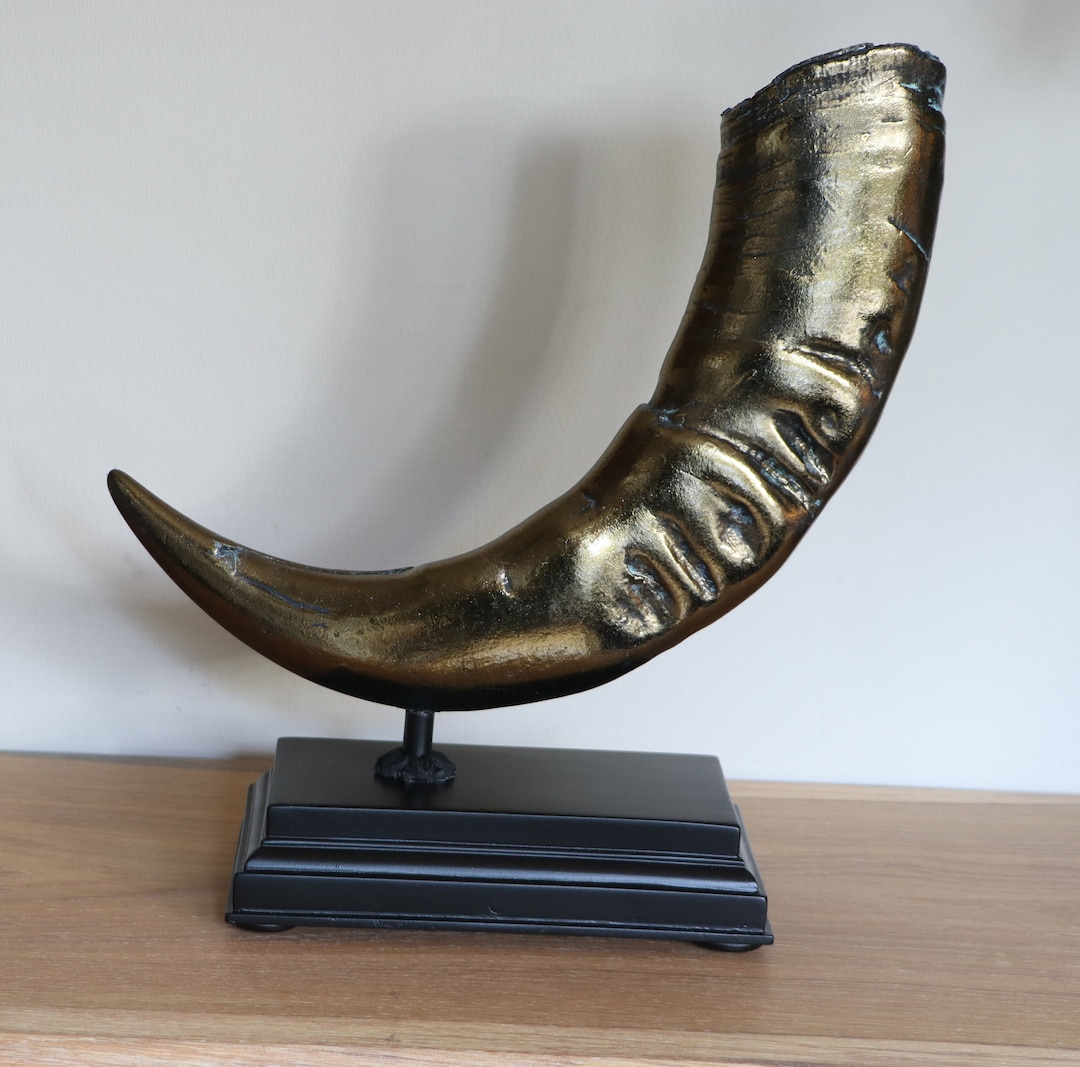 Buffalo Horn Mounted on a Black Solid Pedstal, Real Horn Display, Set ...