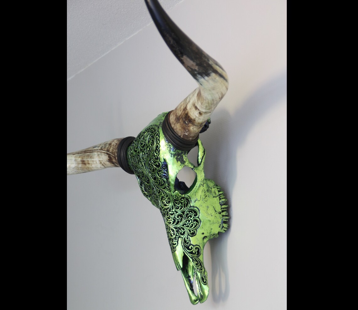 Longhornskull Wall Mount Real Longhorn Skull Buffaloskull - Etsy