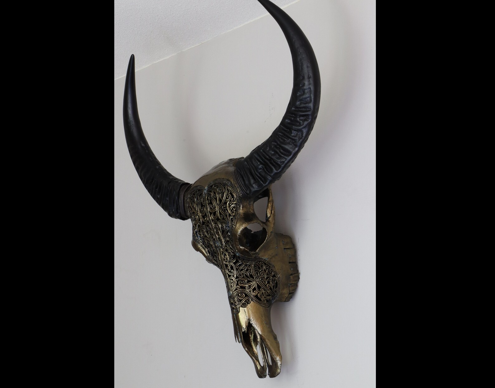 Real Buffalo Skull Celtic Design Carved Buffaloskull - Etsy