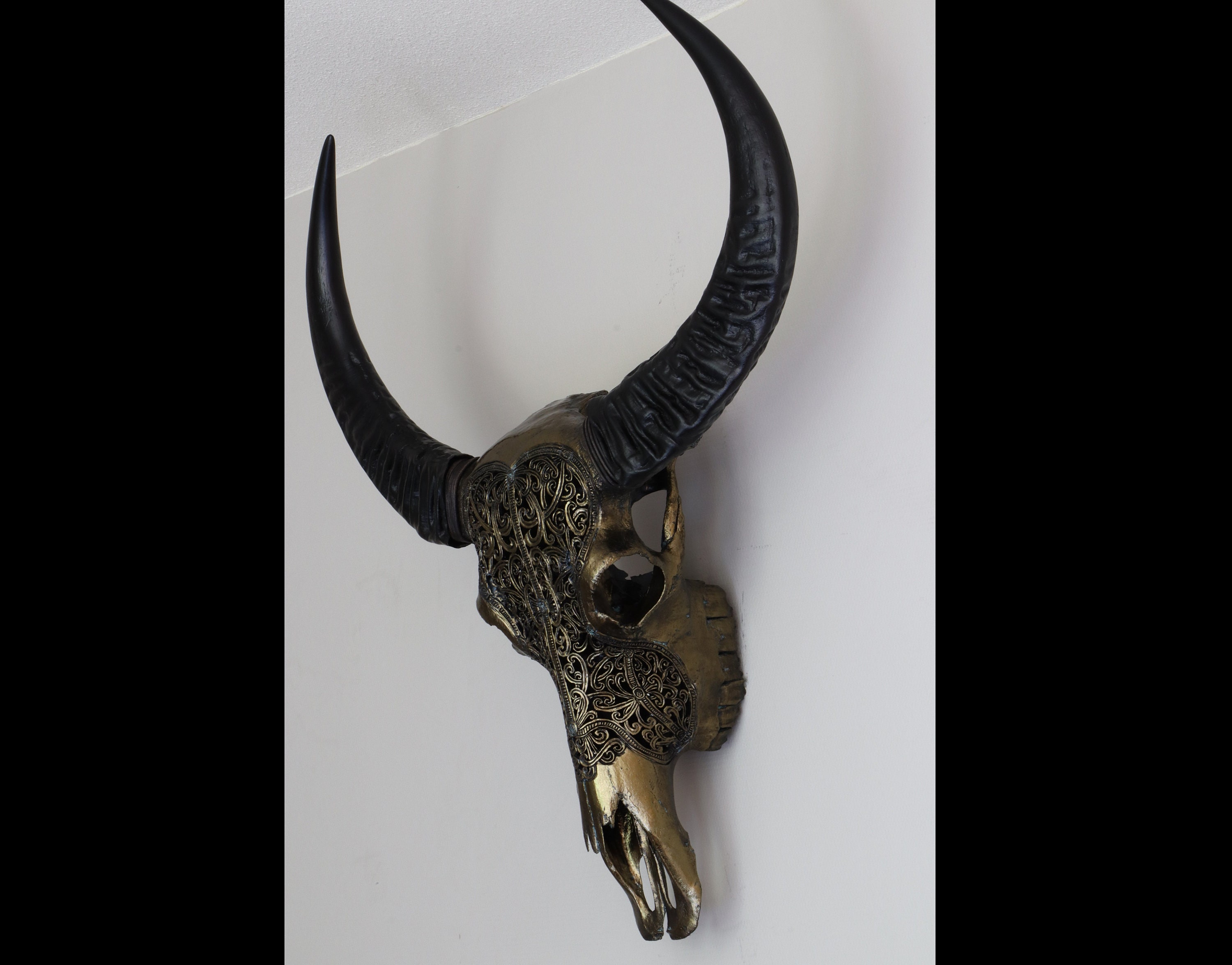 Real Buffalo skull Celtic design carved Buffaloskull | Etsy