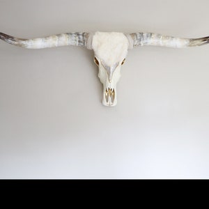 XL Off-white Longhornskull, Hand Decorated With Crystals, Longhorn ...