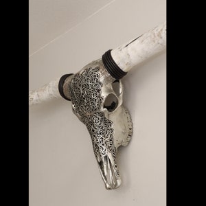 Longhornskull Hand Carved Art Object, Steerskull With Polished ...