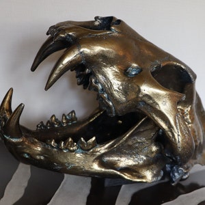 Lion Skull, Lion ( Replica ) Metalized in Brass, Brons, Antique ...