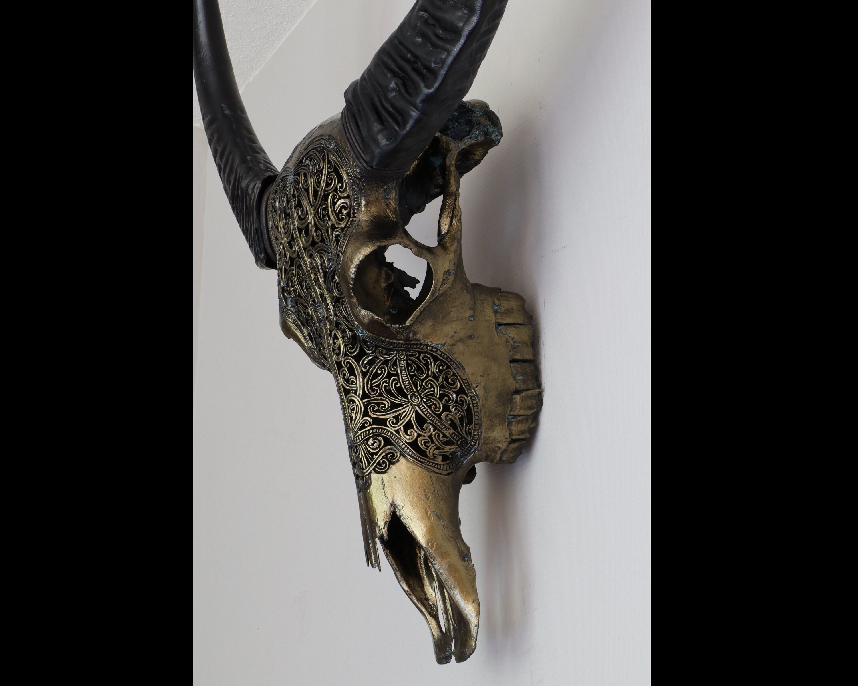 Real Buffalo skull Celtic design carved Buffaloskull | Etsy