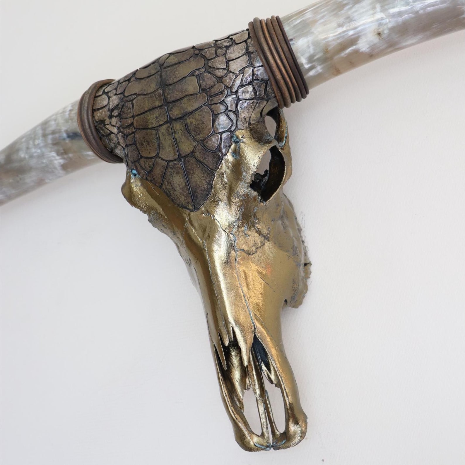 Longhorn Turtle Armor, Longhorn Skull Real Horns, Living Room Decor ...
