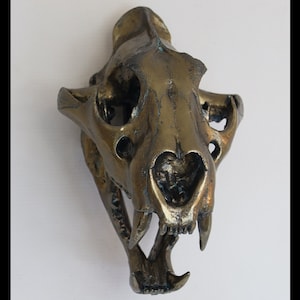 Lion Skull, Lion ( Replica ) Metalized in Brass, Brons, Antique ...