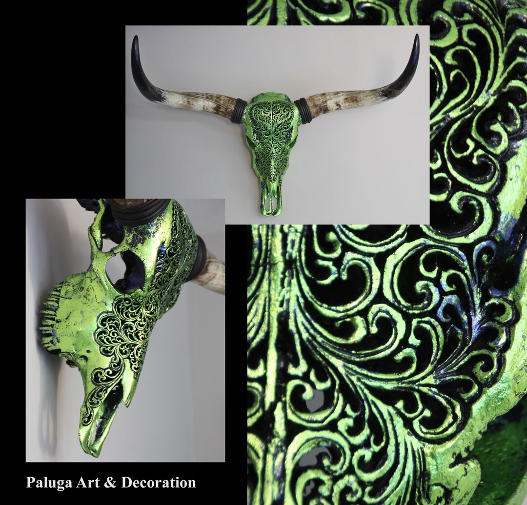 Longhornskull Wall Mount, Real Longhorn Skull, Buffaloskull With Fitted ...