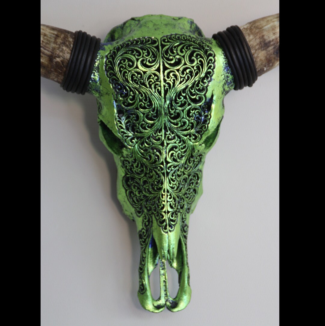 Longhornskull Wall Mount, Real Longhorn Skull, Buffaloskull With Fitted ...