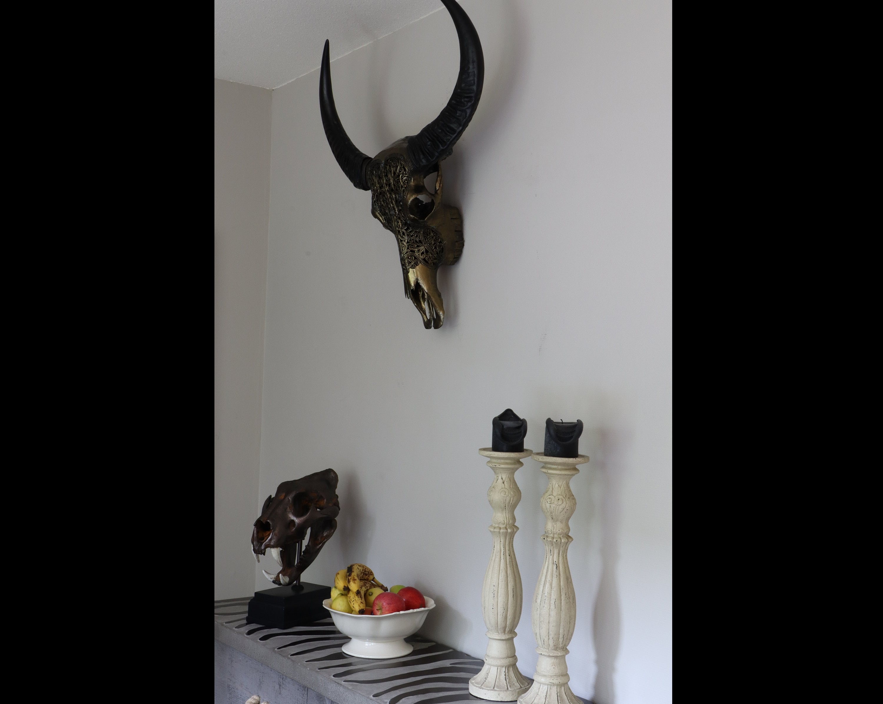 Real Buffalo skull Celtic design carved Buffaloskull | Etsy