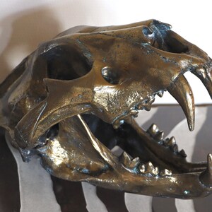Lion Skull, Lion ( Replica ) Metalized in Brass, Brons, Antique ...