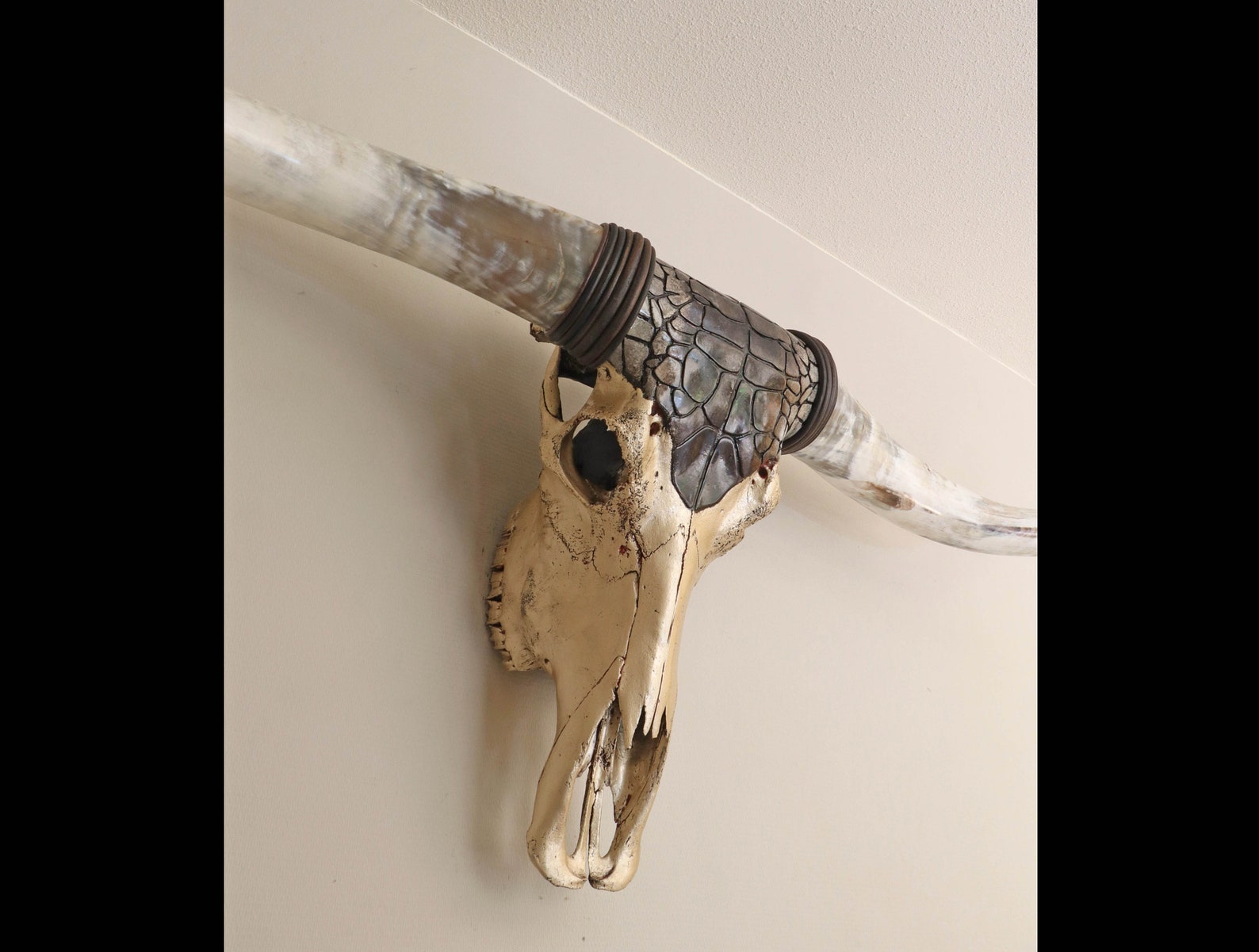 XL Longhorn Original Longhornskull Longhorn Skull Real - Etsy