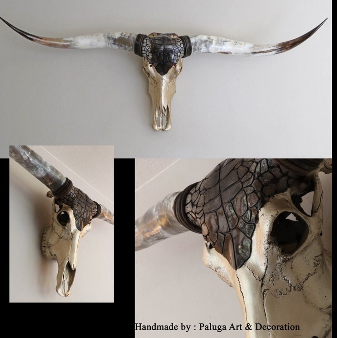 XL Longhorn, Original Longhornskull, Longhorn Skull Real Horns, Living ...
