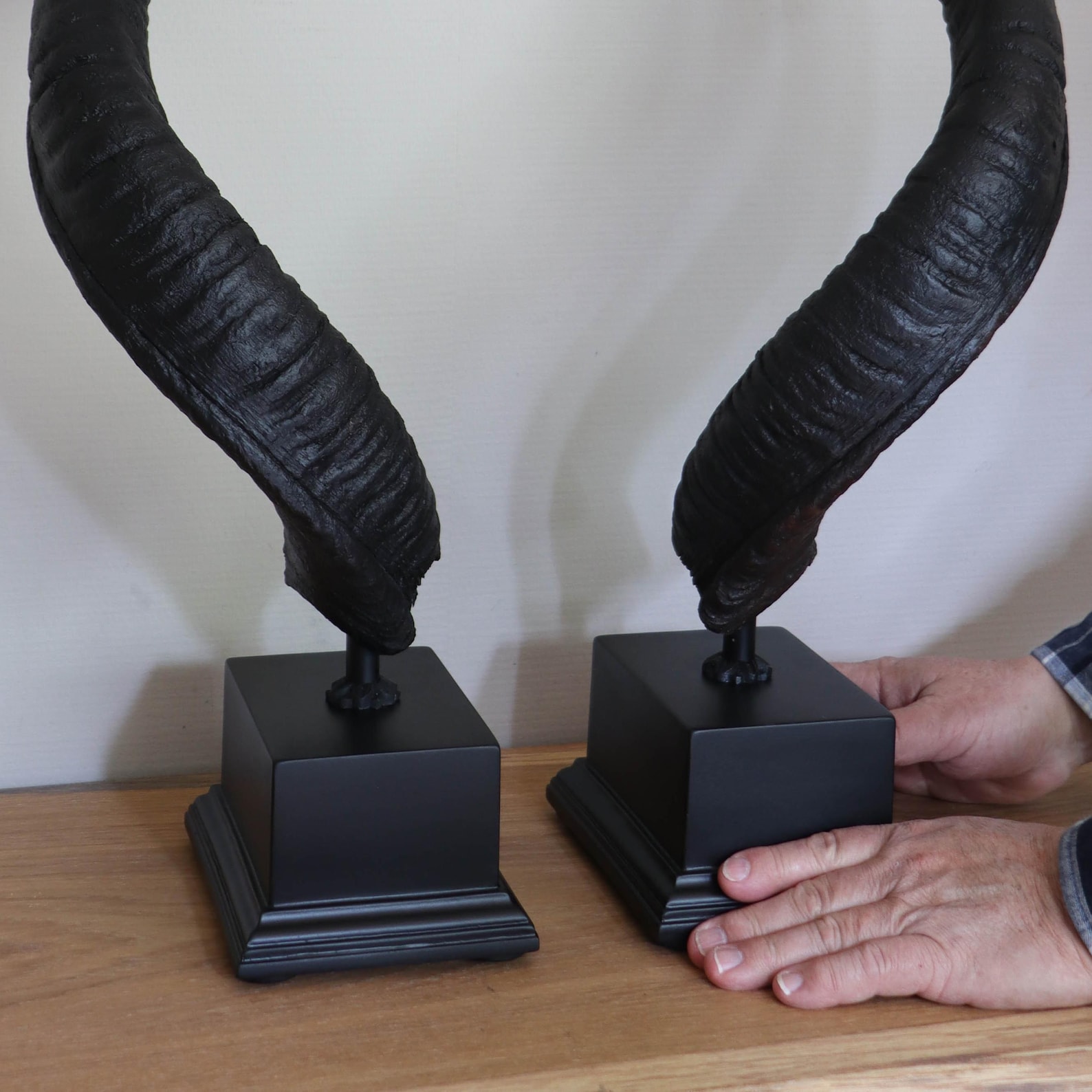 Pair Kudu Horns on a Black Solid Pedstal, 2 Real Horns Display, Set ...