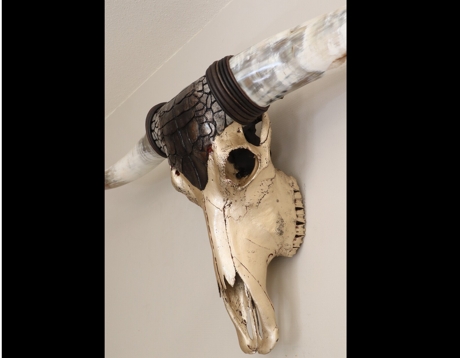 XL Longhorn Original Longhornskull Longhorn Skull Real - Etsy