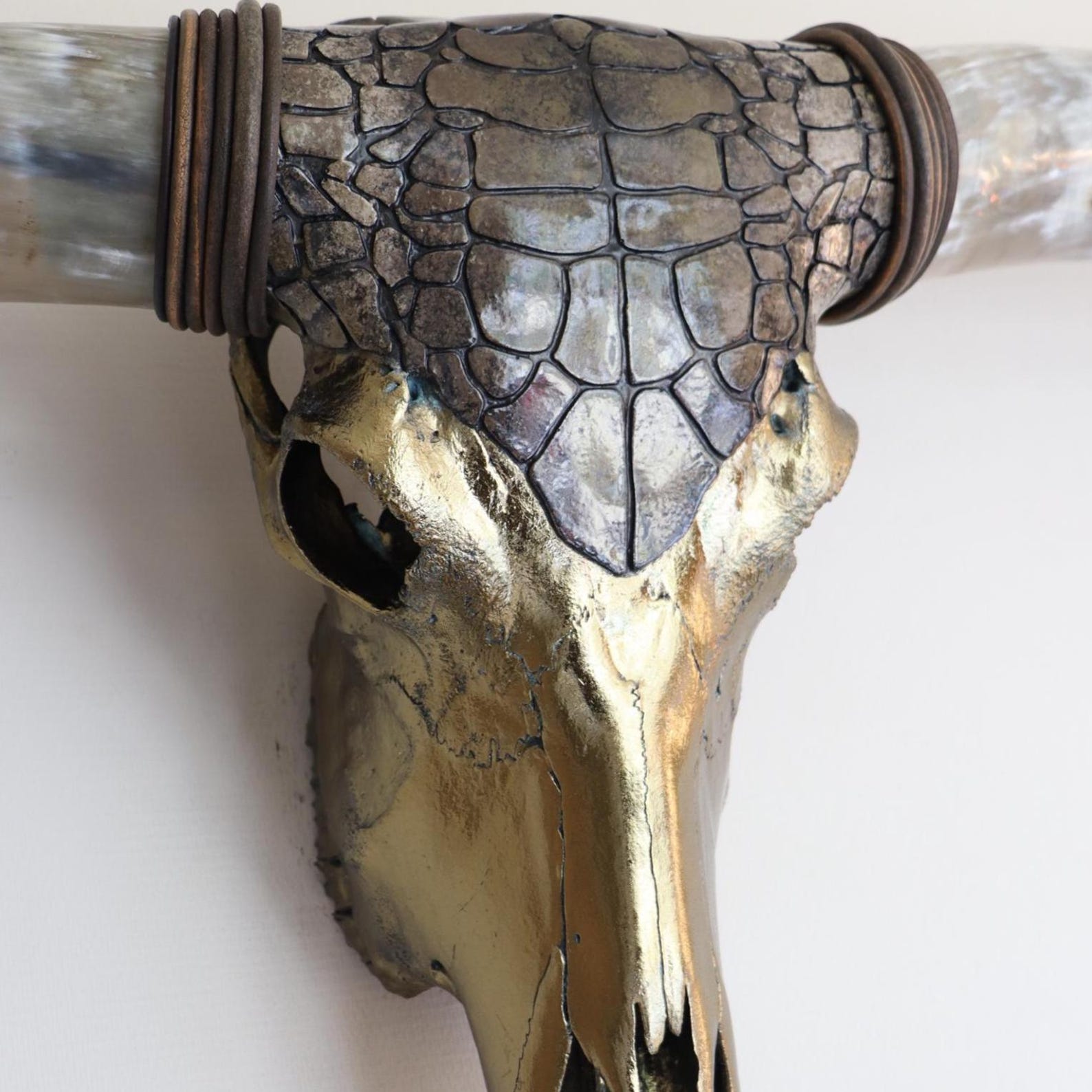 Longhorn Turtle Armor, Longhorn Skull Real Horns, Living Room Decor ...