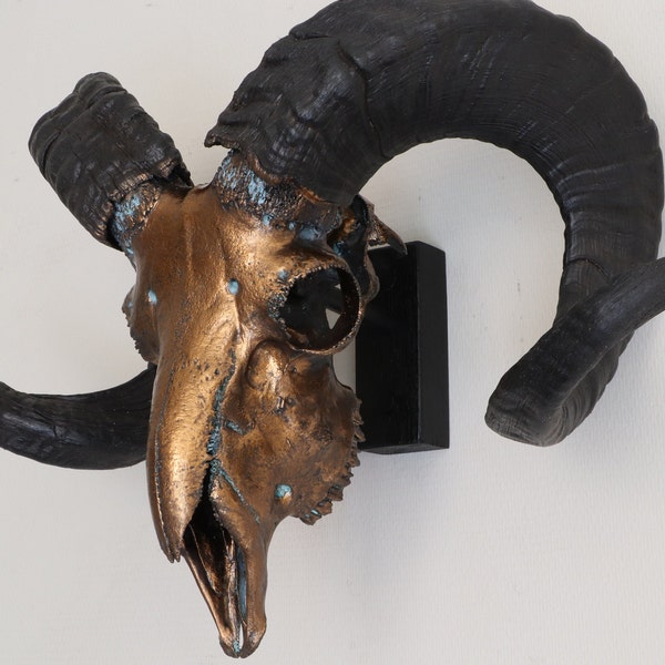 Skull Wall Decor - Etsy