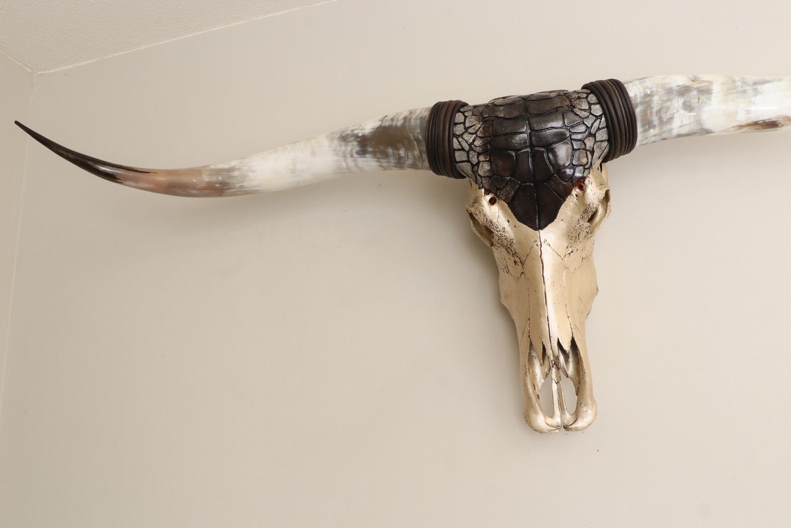 XL Longhorn Original Longhornskull Longhorn Skull Real - Etsy