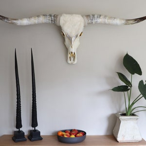 XL Off-white Longhornskull, Hand Decorated With Crystals, Longhorn ...