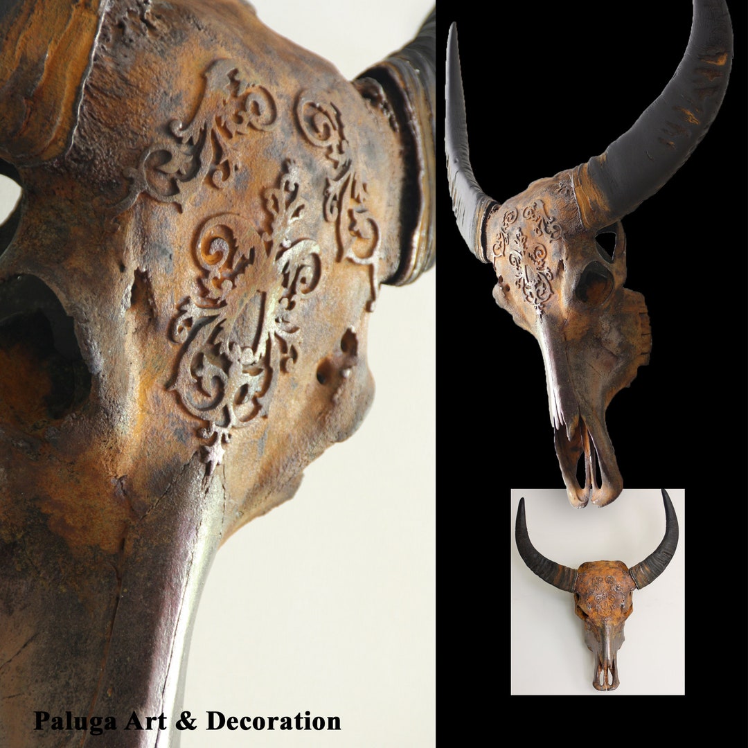 Rusted Buffalo Skull, Real Bullskull, Rustic Ornamental Decor ...