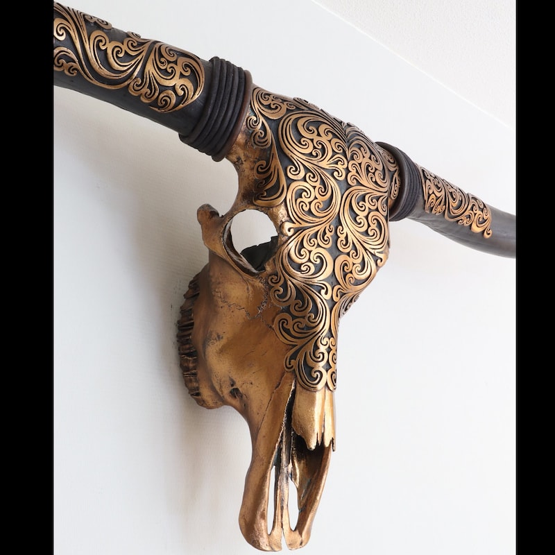 Real Animal Skull - Etsy