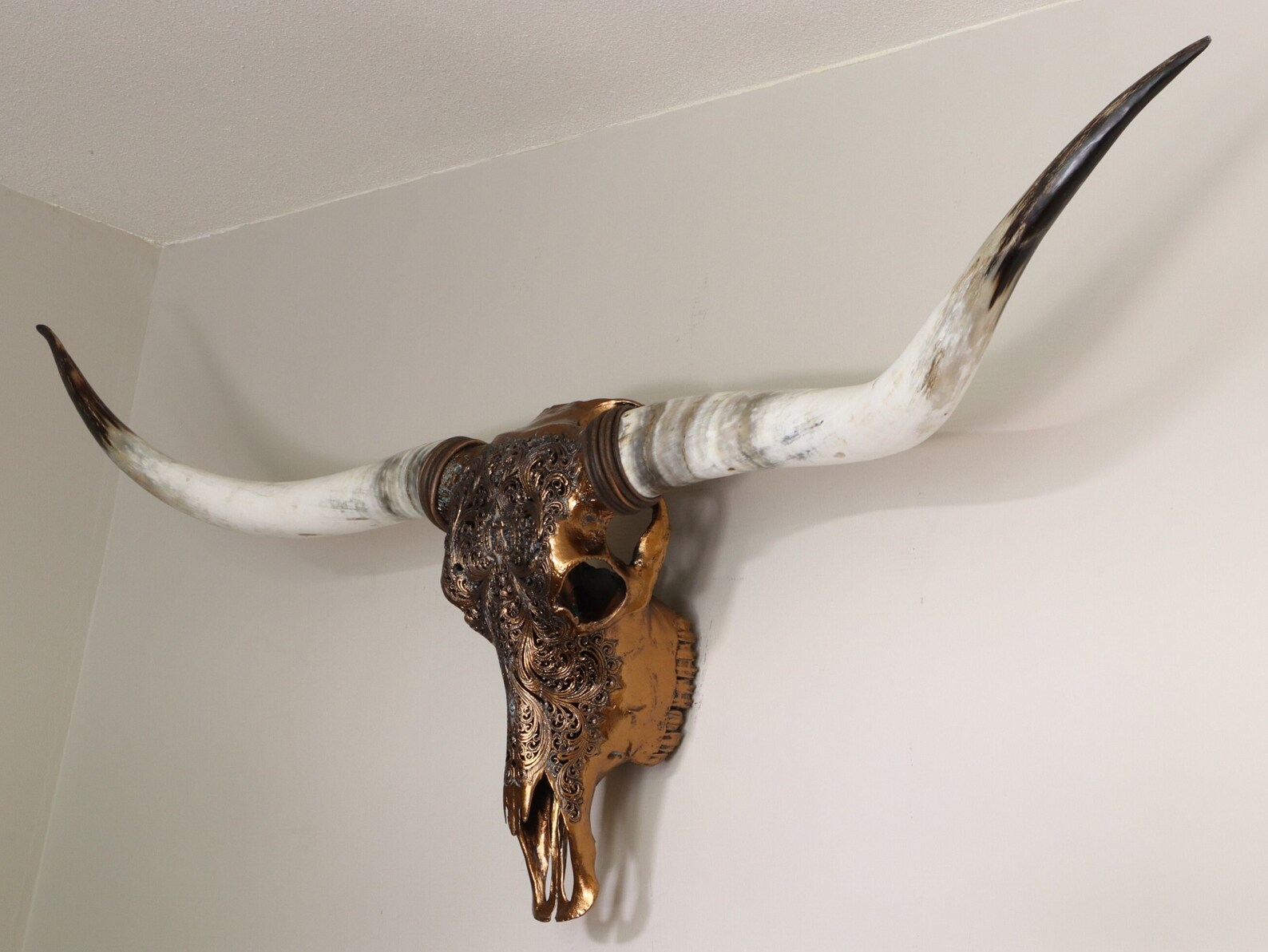 Large Longhorn Skull Engraved and Carved Skull Rustic | Etsy