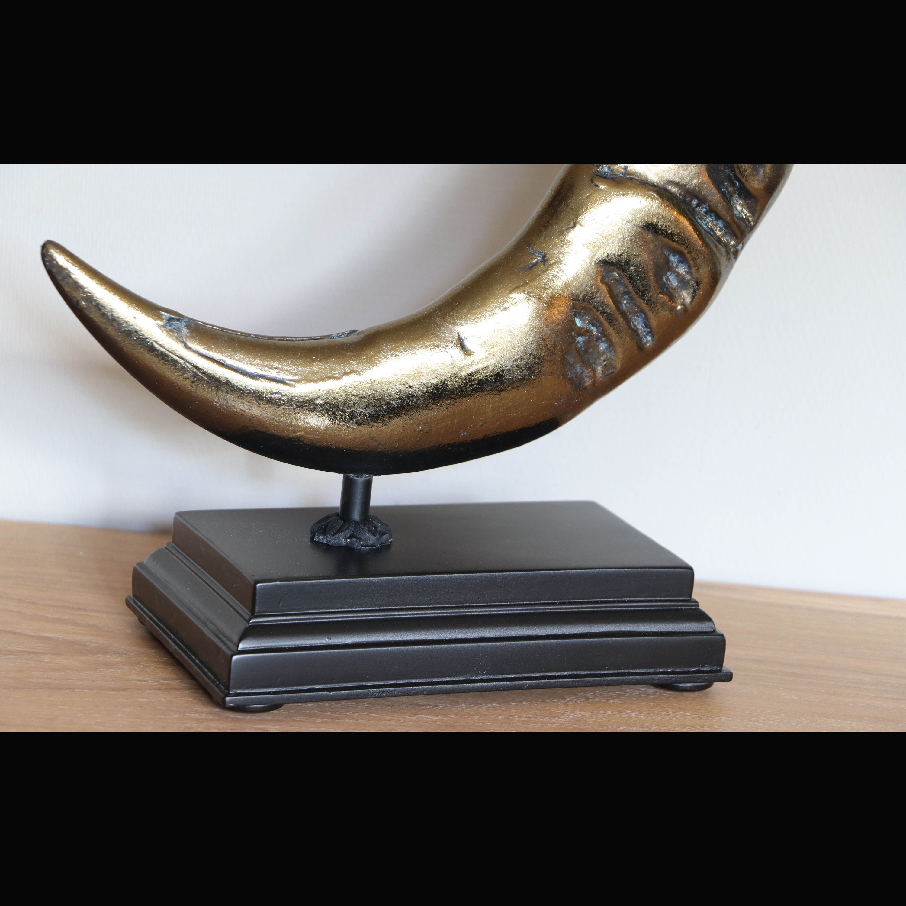 Buffalo Horn Mounted on a Black Solid Pedstal, Real Horn Display, Set ...