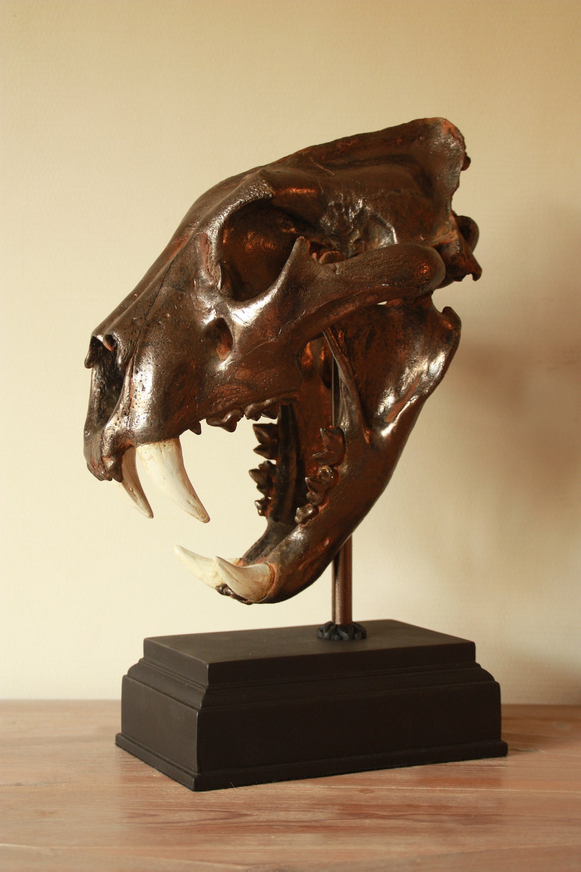 Lion Skull Lion Replica Metalized in Rusted Iron Antique - Etsy UK