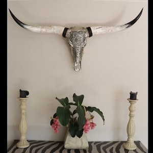 Longhornskull Hand Carved Art Object, Steerskull With Polished ...