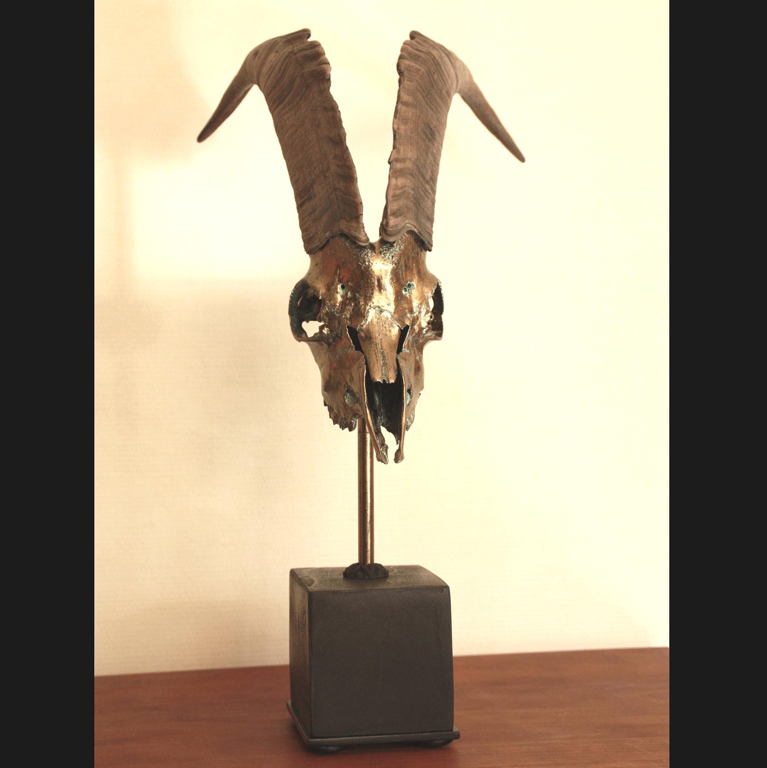Goat Skull, Goat Skull on Pedestal, Antique Decor, Living Room Decor ...