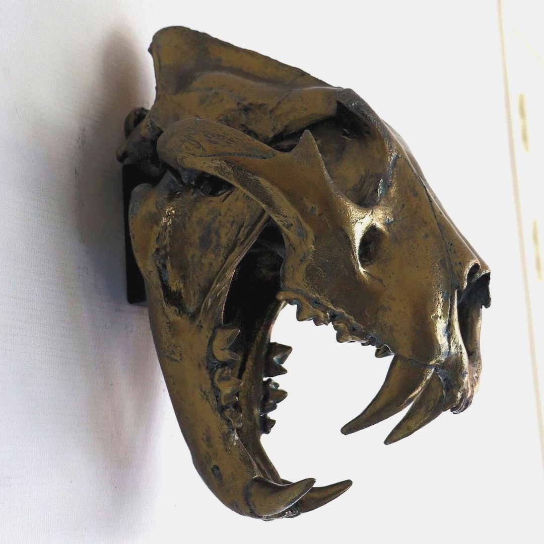 Lion Skull, Lion ( Replica ) Metalized in Brass, Brons, Antique ...