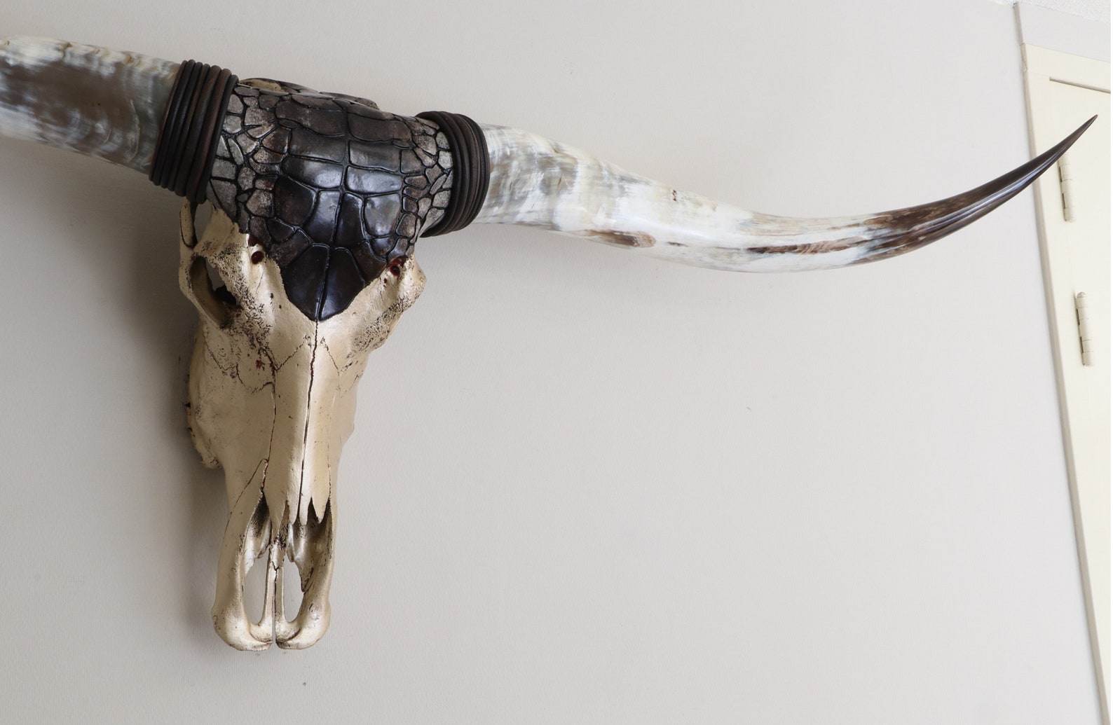 XL Longhorn Original Longhornskull Longhorn Skull Real - Etsy