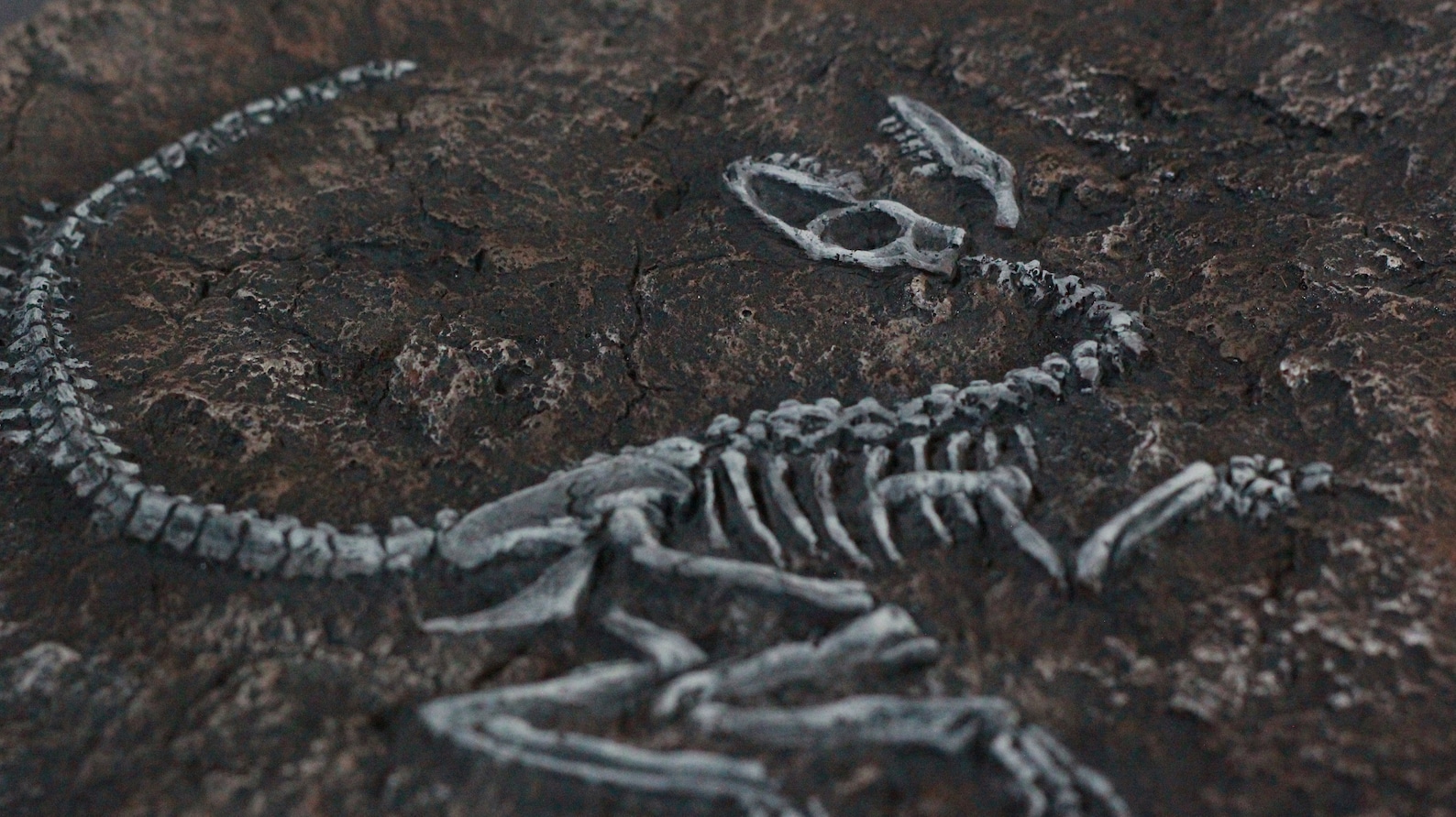 Jurassic Park Skelton Sculpture Velociraptor - Etsy