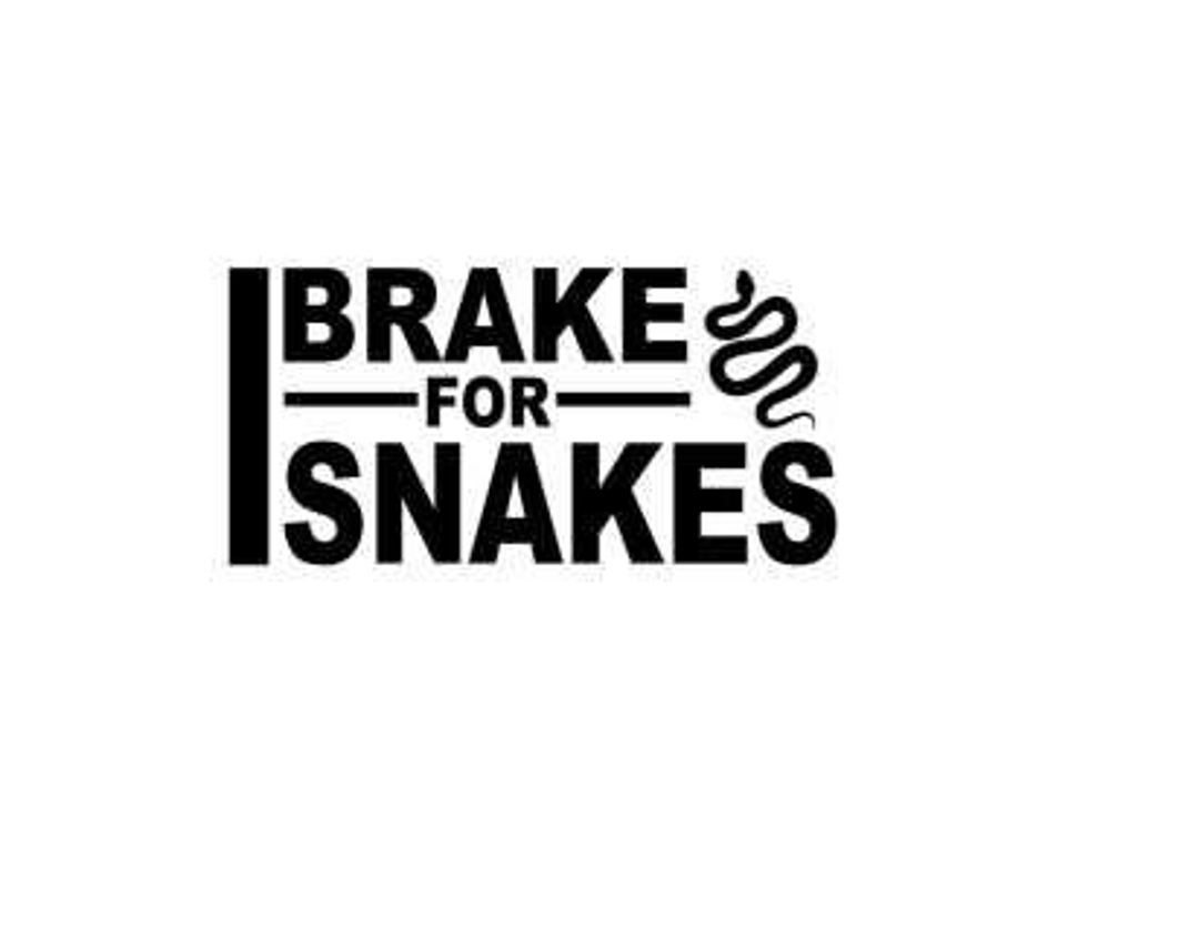 I Brake for Snakes Vinyl Decal Bumper Sticker SCHS - Etsy
