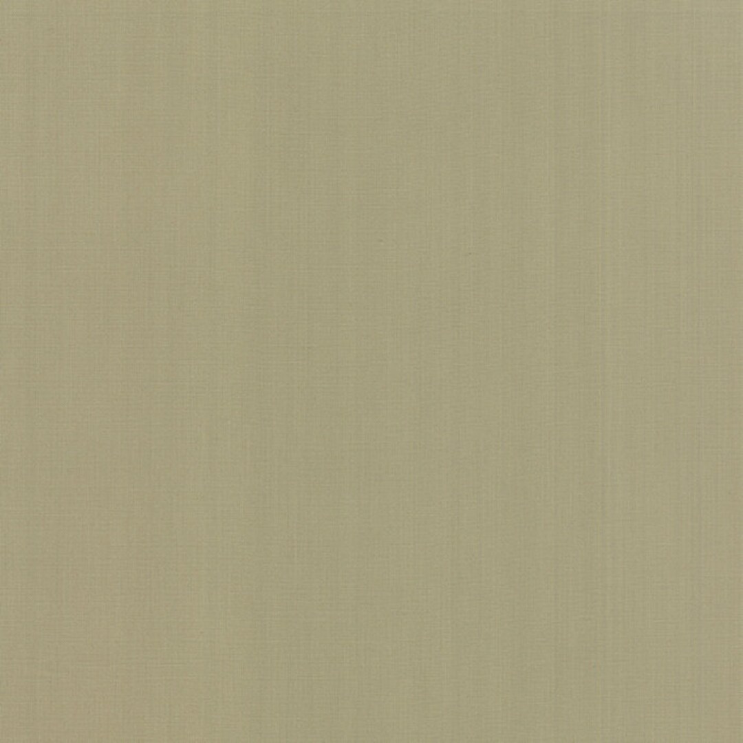 Bella Solid, 9900.313, Color Oatmeal (1/2 Yard Continuous Cuts) - Etsy