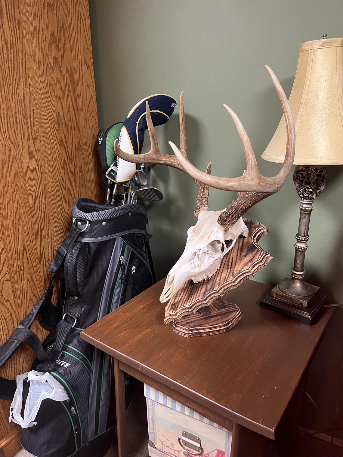 Arrowhead Table Top Deer Euro Skull Mount Display - Etsy