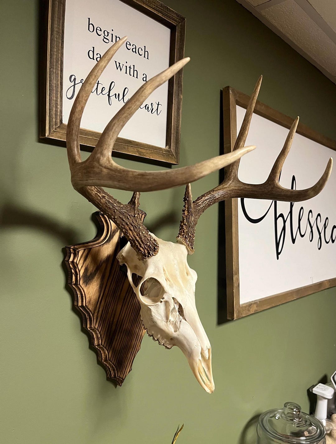 Arrowhead Deer Euro Skull Wall Plaque - Etsy