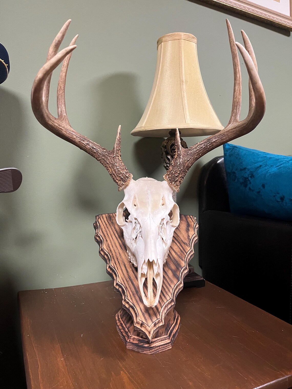 Arrowhead Table Top Deer Euro Skull Mount Display - Etsy