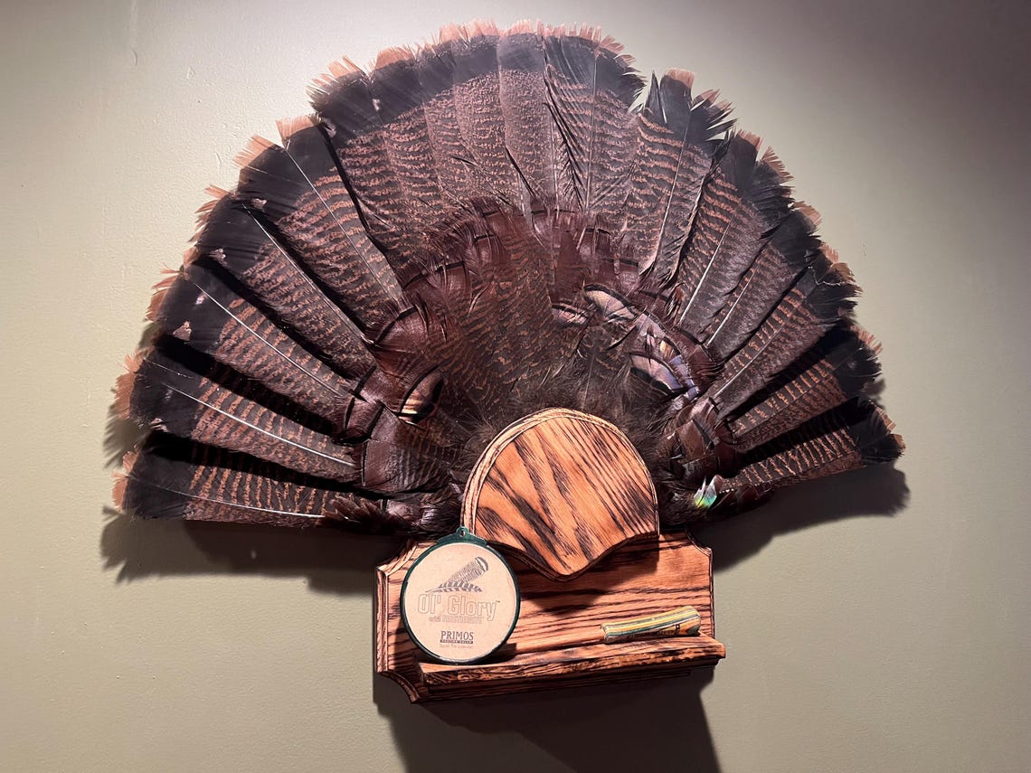 Turkey Fan Mount Turkey Fan Display Shelf - Etsy