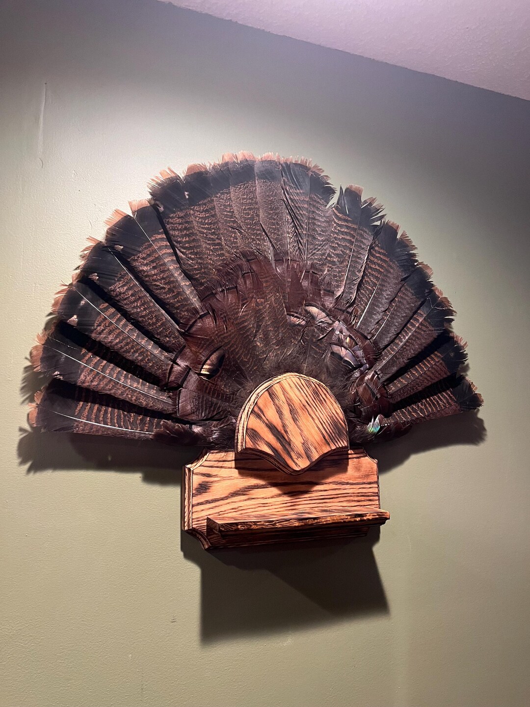 Turkey Fan Mount Turkey Fan Display Shelf - Etsy