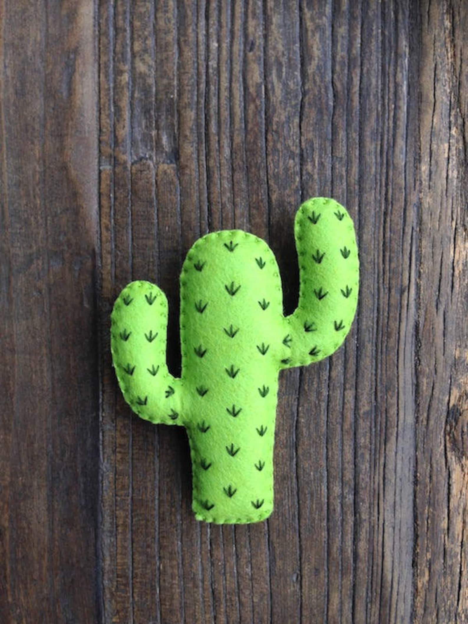 Mixed Cactus Set Felt Cactus Cactus Decor Cactus Nursery - Etsy UK