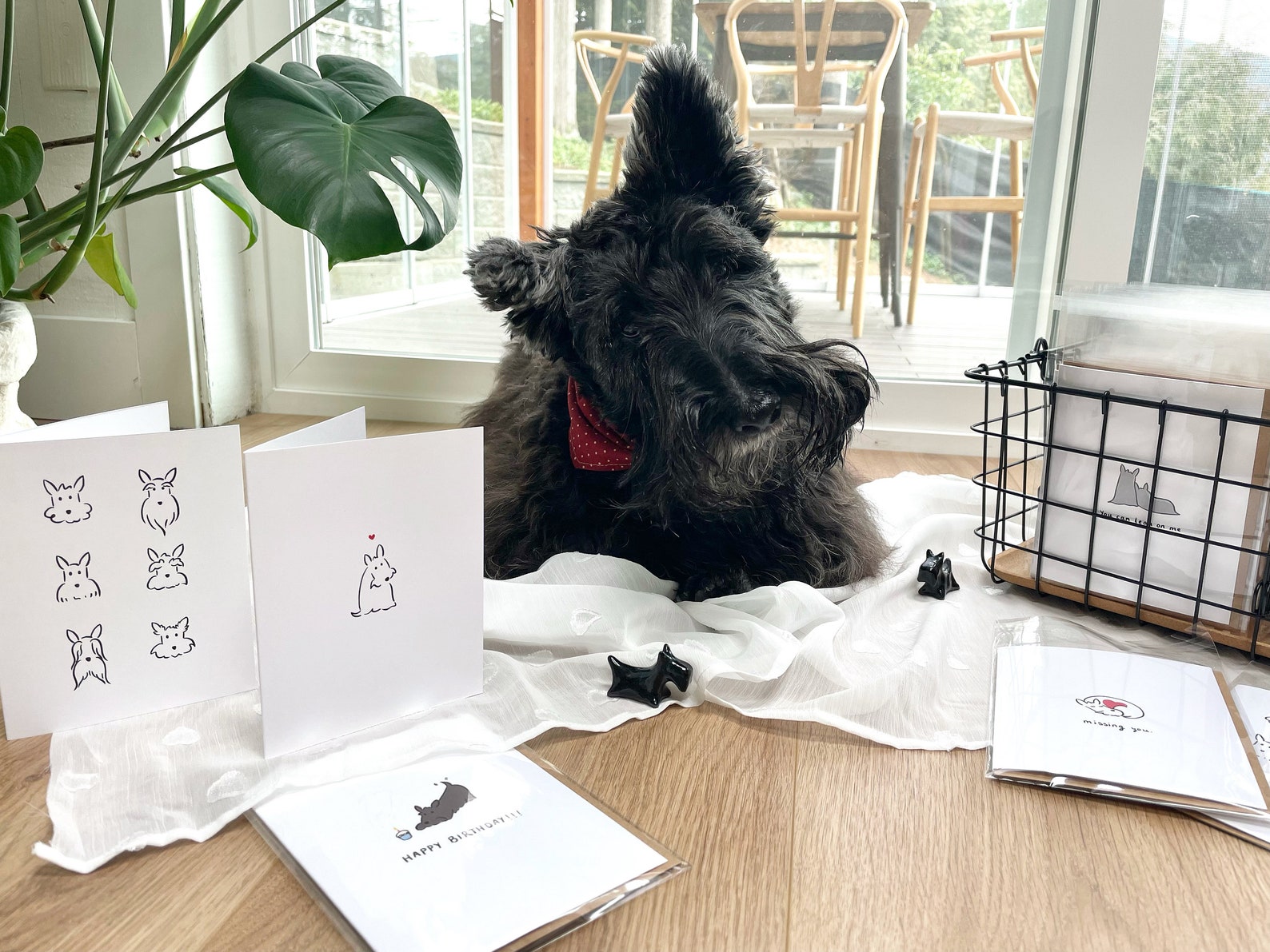 Happy Birthday Black or White Scottie Dog Scottish Terrier Card - Etsy