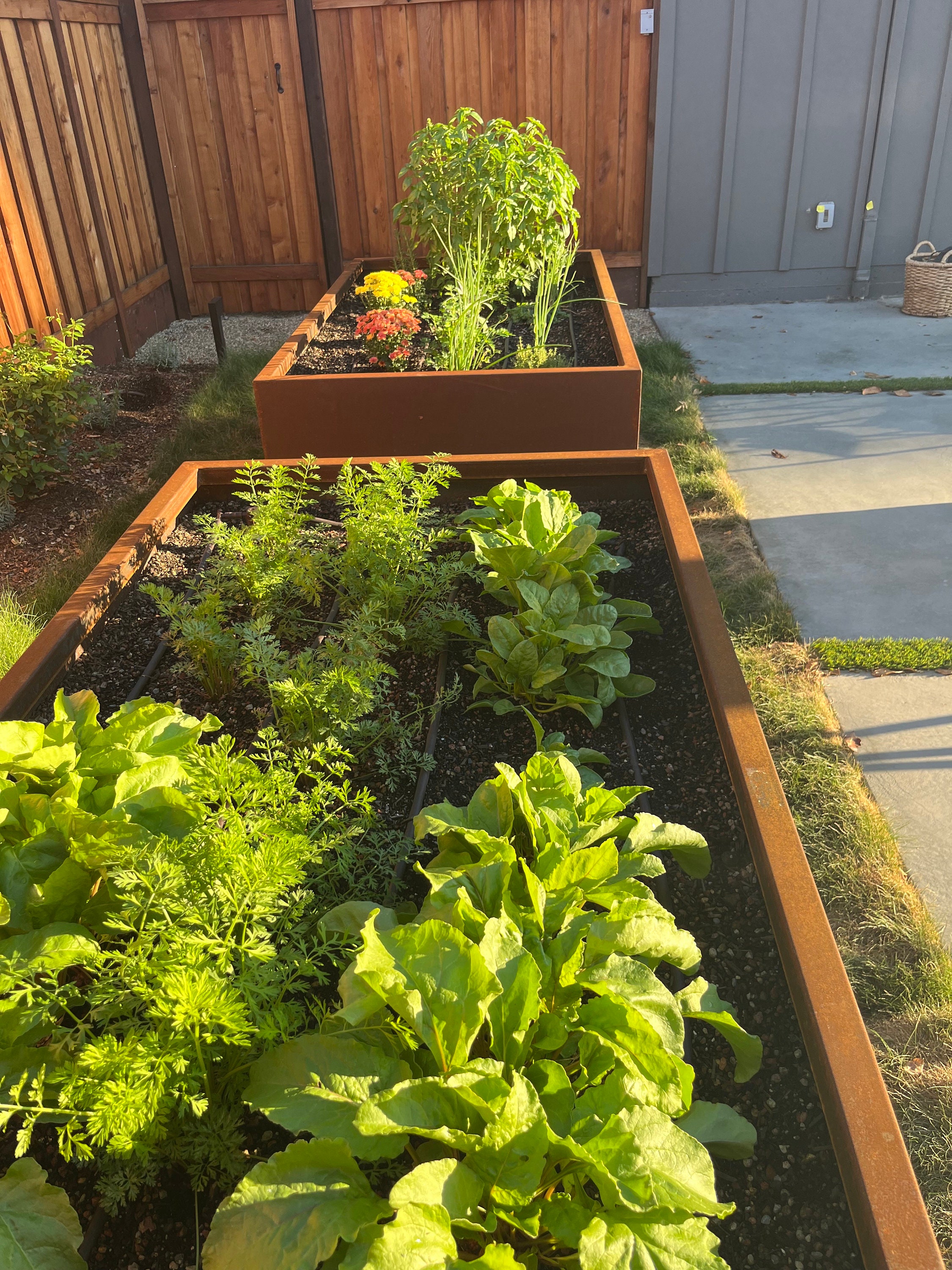 Custom Corten Steel Sectional Raised Planter Beds. Available in ...