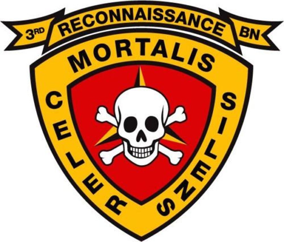 U.S. Military 3rd Recon Reconnaissance Battalion Decal Bumper Sticker ...